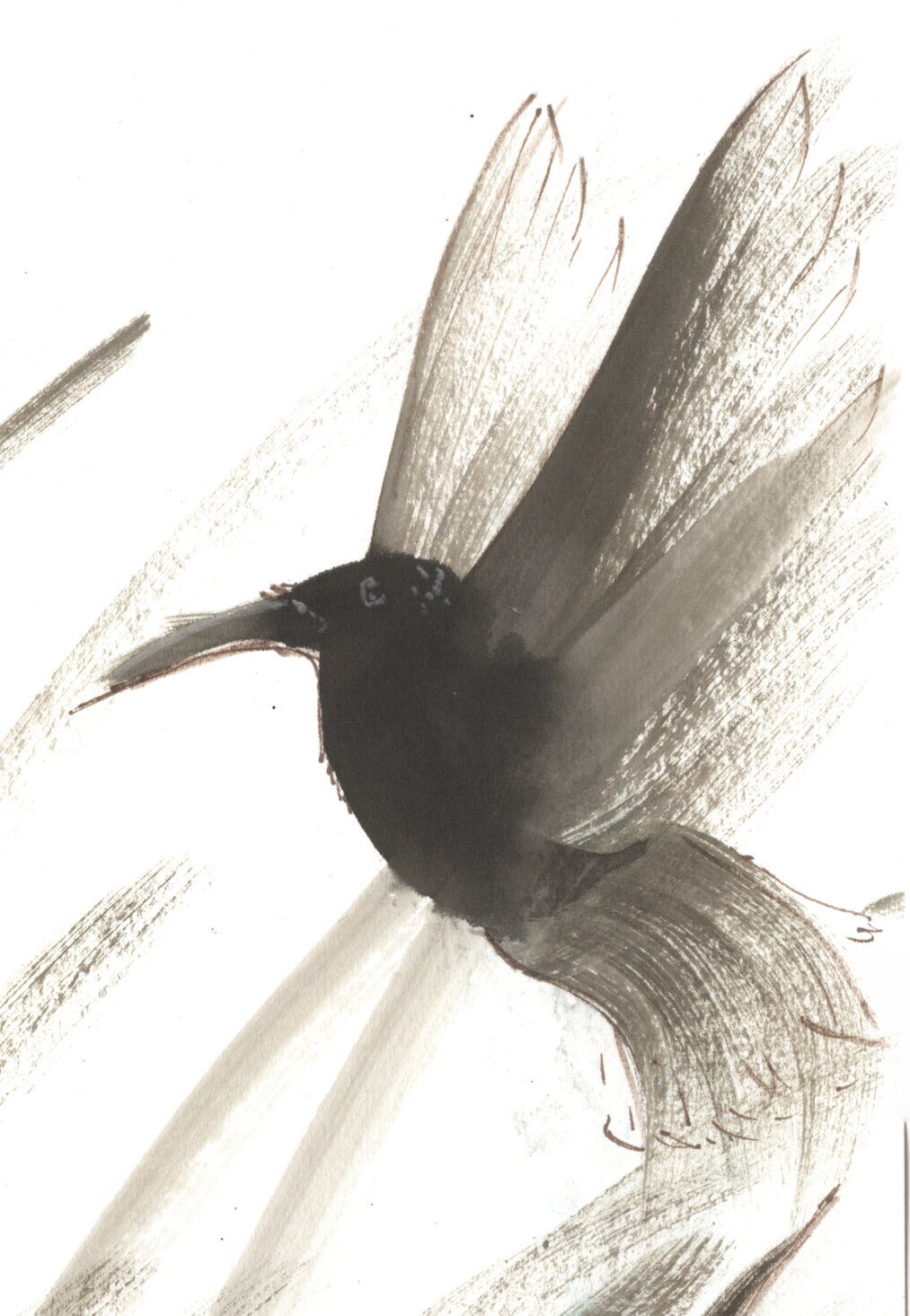 Hummingbird Sumi Ink Drawing, No AI - Etsy