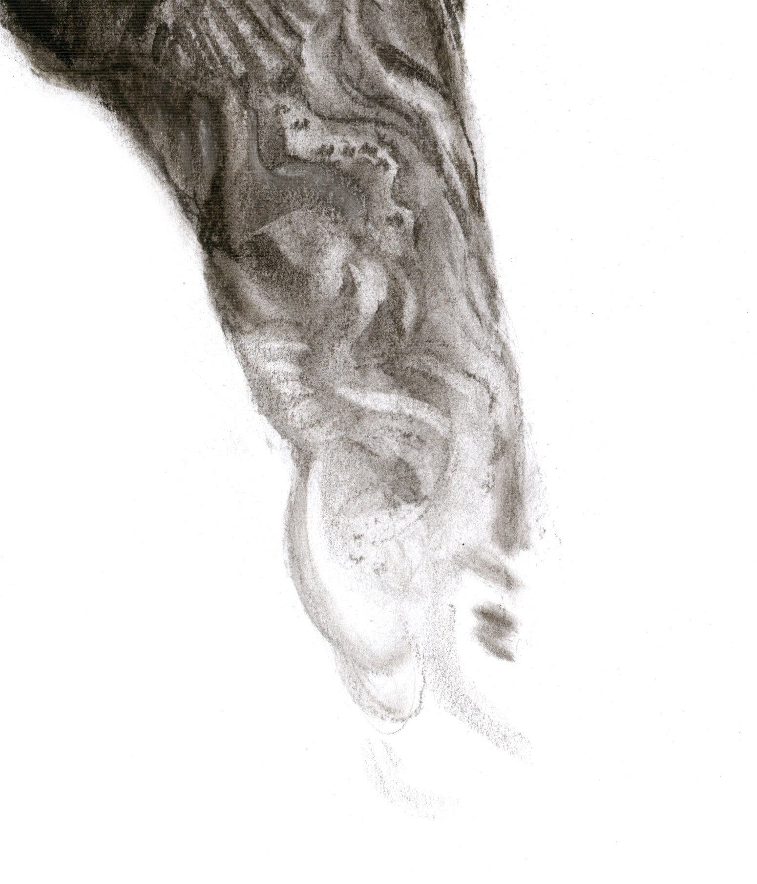 Realistic Smoke Drawing