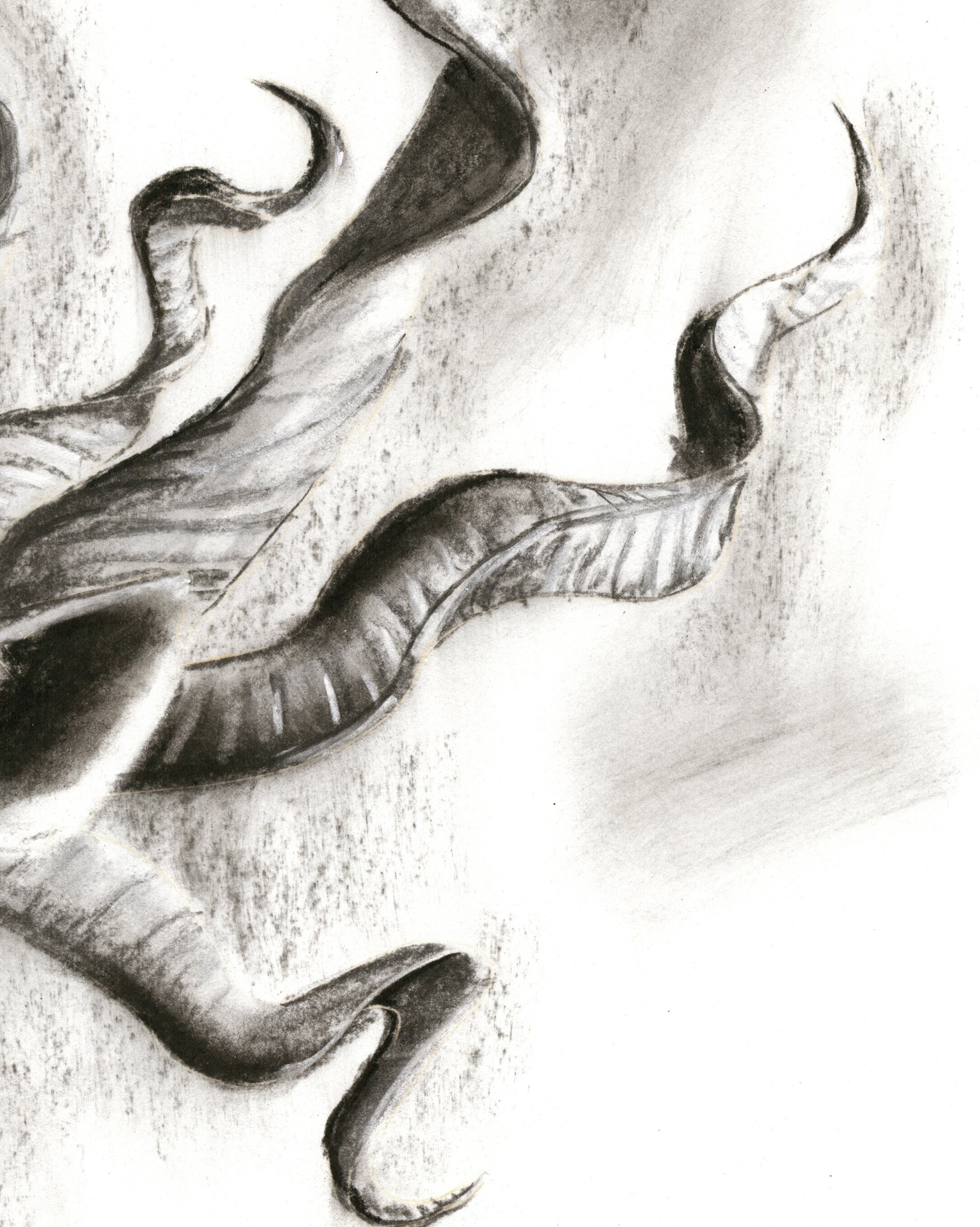 Large Charcoal Drawing of a Stag, Princess Mononoke / Studio Ghibli ...