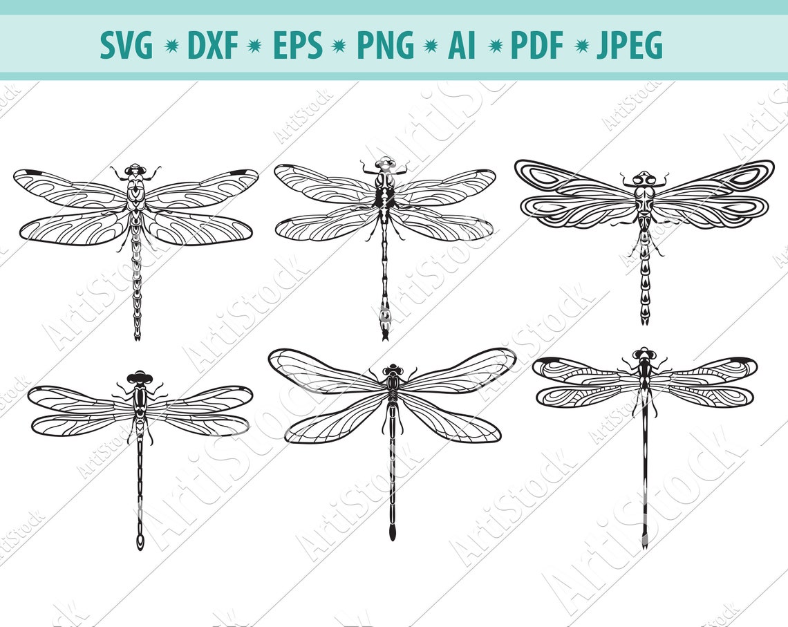 Dragonfly Svg Dragonfly Clipart Insect Svg Bugs Svg Vector | Etsy