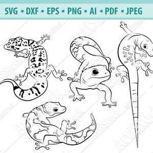 Lizard SVG Bundle Lizard SVG Lizard Clipart Lizard Cut - Etsy