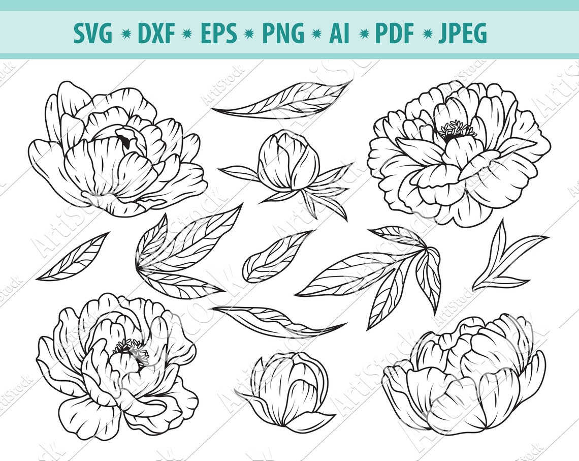 Peony Svg Bundle, Peonies Flowers Svg, Peony Clipart, Peony Leaves Svg ...
