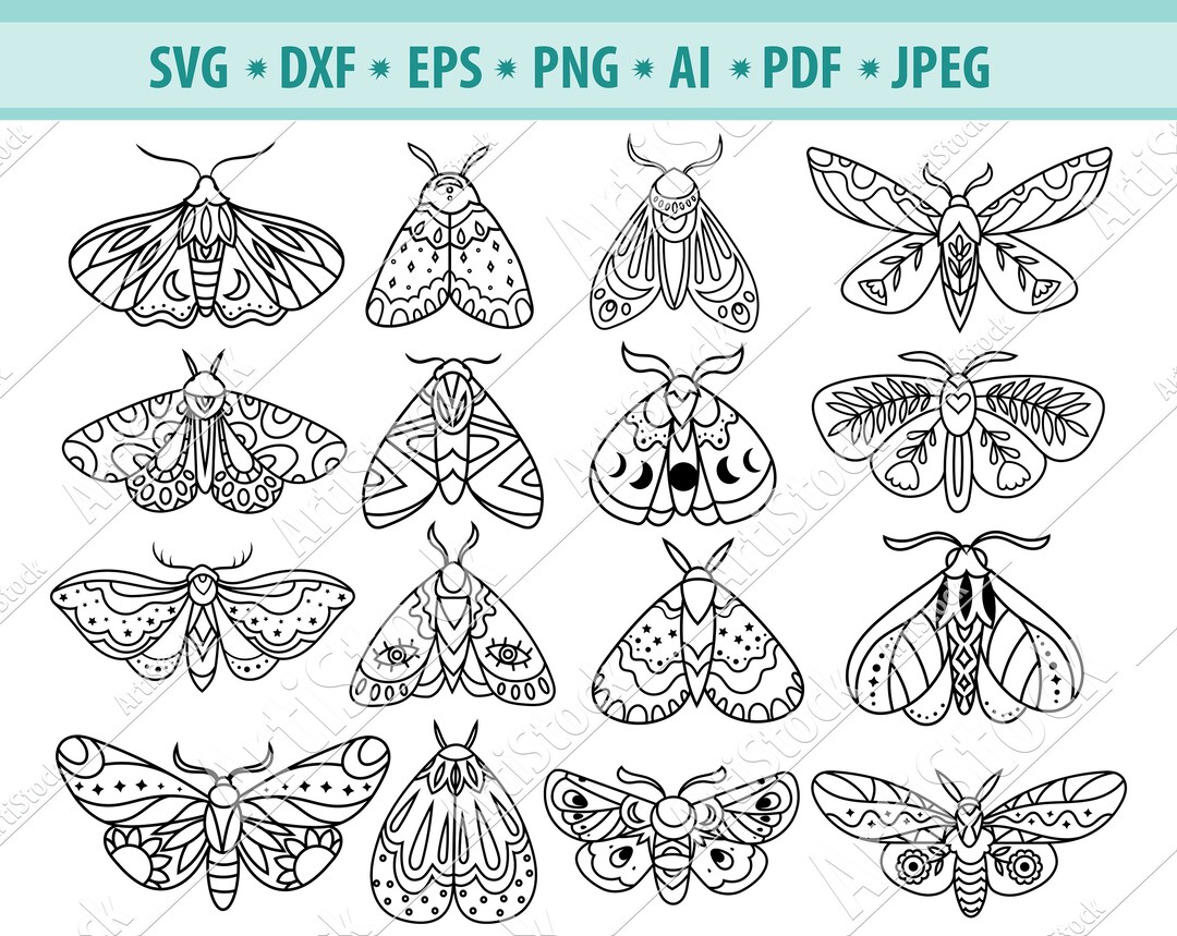 Moth Svg Bundle, Celestial Clipart, Star Svg, Files for Cricut, Insect ...