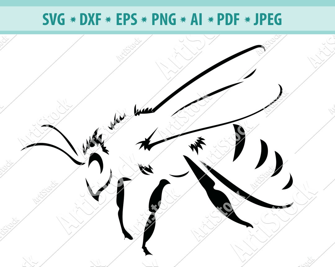 Bee SVG, Queen Bee Svg, Honey Svg, Bee Clipart, Bee Files for Cricut ...