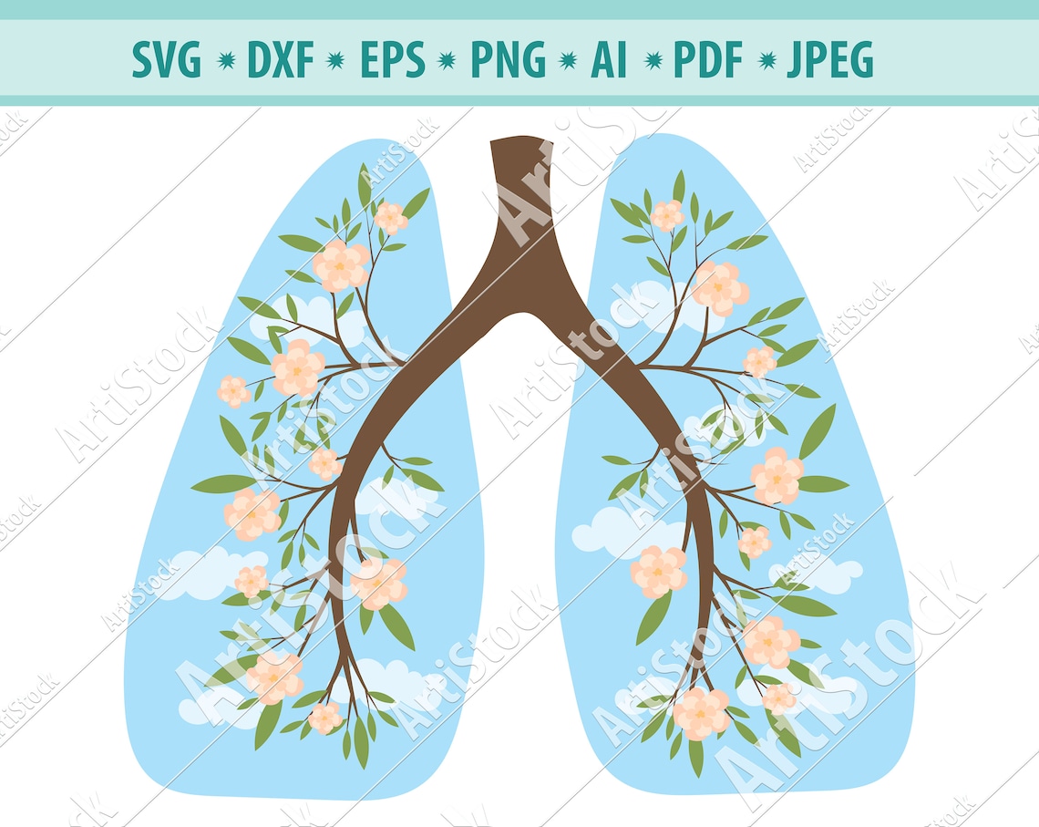 Human Lung Svg Lungs Svg Flowery Human Lung Silhouette - Etsy