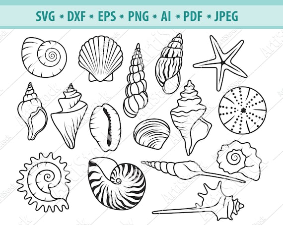 Seashells Svg Shell Clipart Underwater World Svg Ocean Svg - Etsy Australia