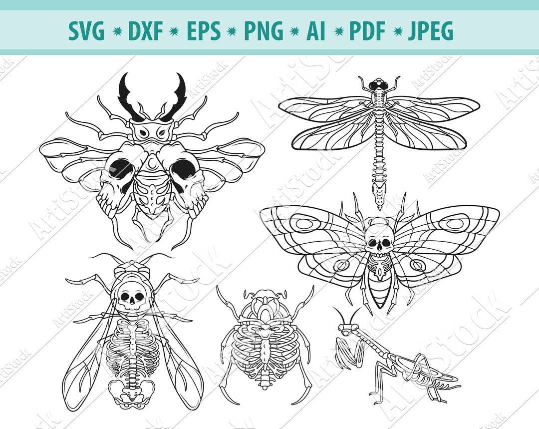 Mystic Beetle Svg, Death's Head Beetle Svg, Scarab Svg, Spooky Beetle ...