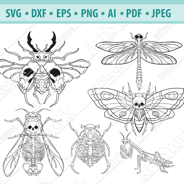 Death Head Beetle - Etsy