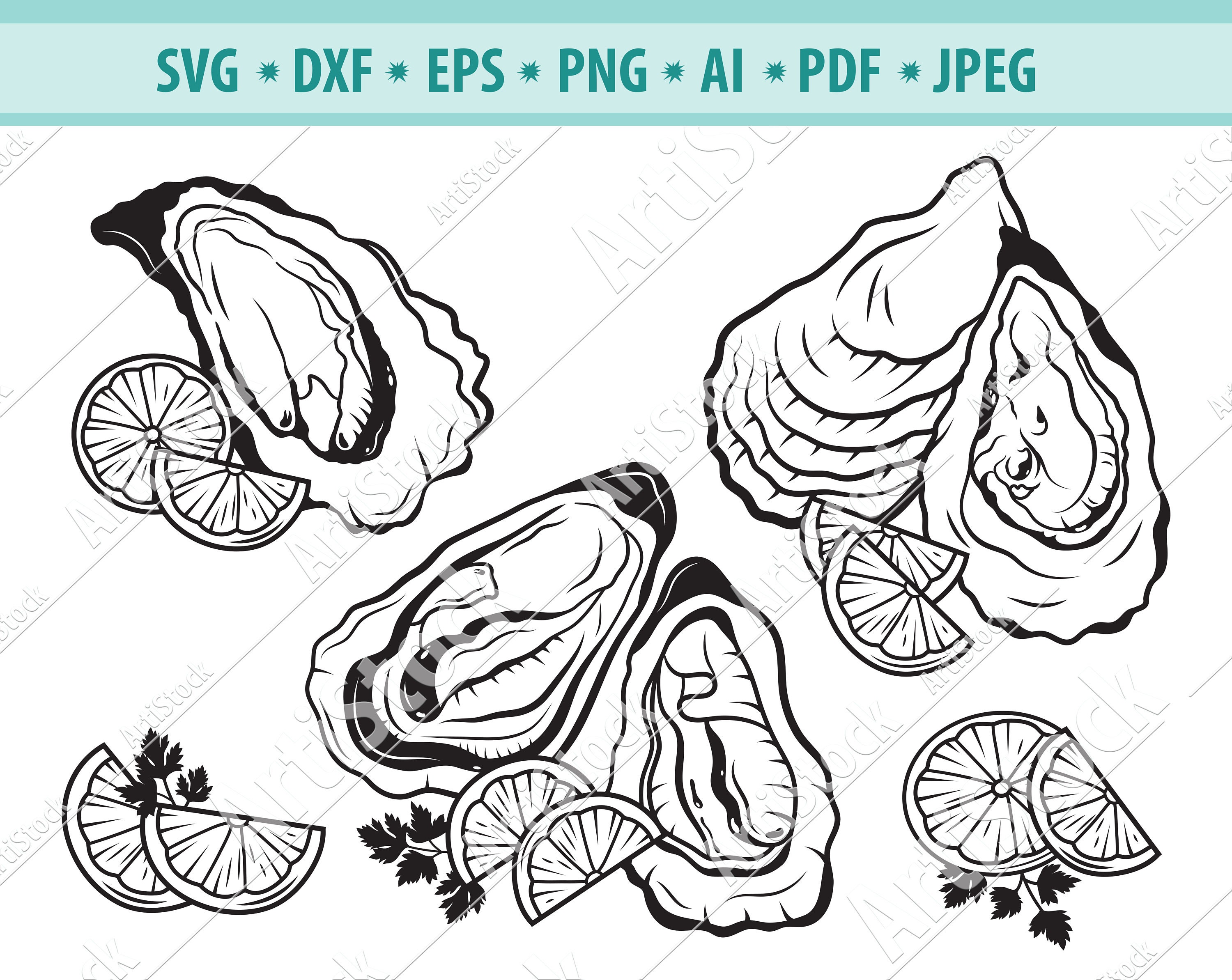Oyster Graphic