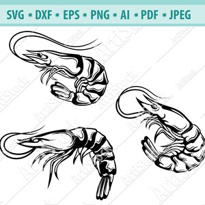 Shrimp Svg Beach Svg Shell Fish Silhouettes Sea Animals - Etsy