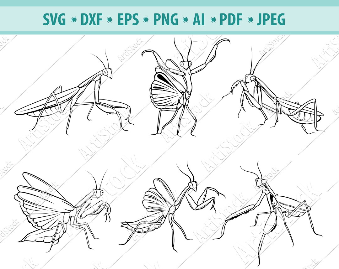 Praying Mantis Svg, Insect Svg, Green Mantis SVG, Grasshopper Svg ...
