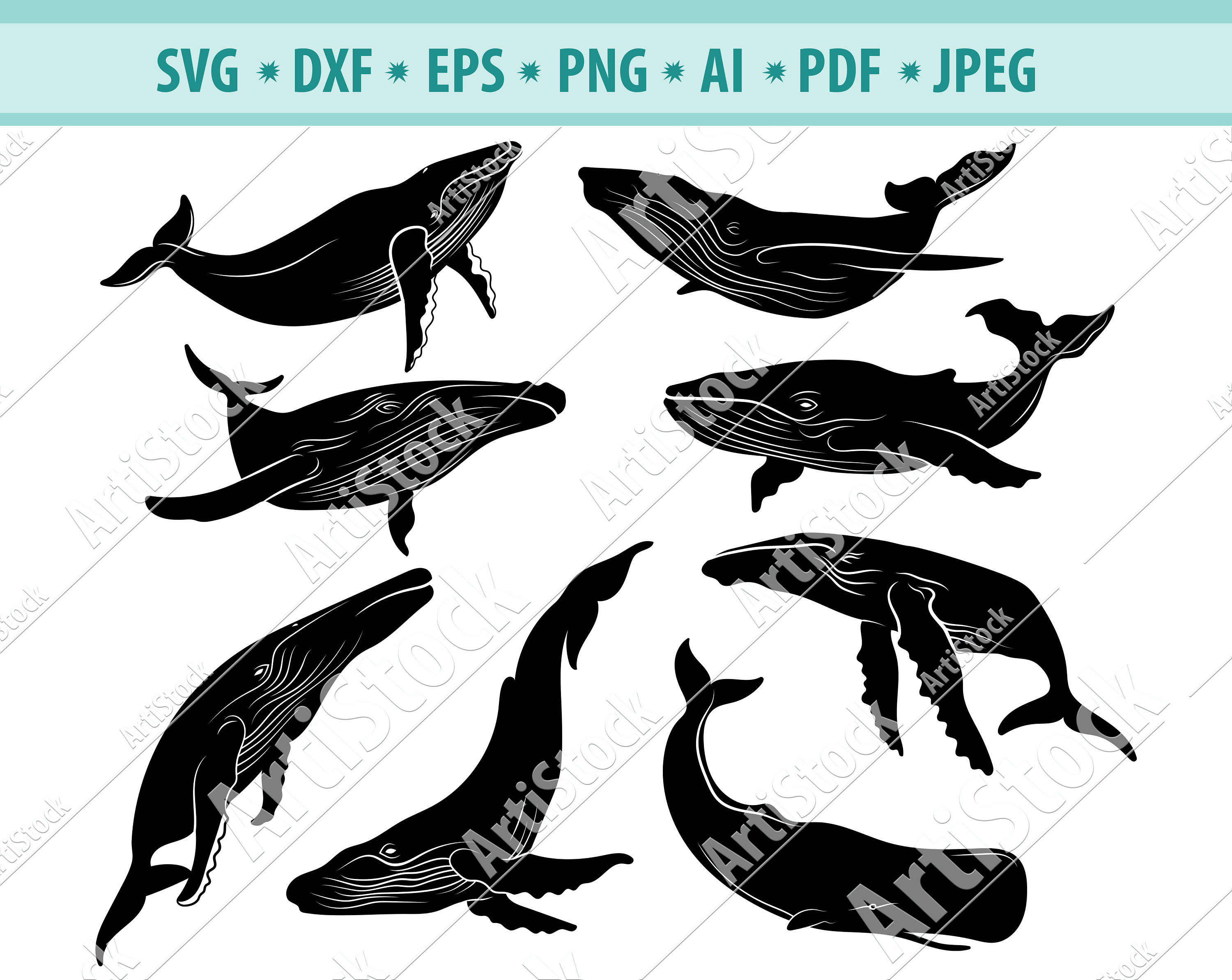 Humpback Whale SVG Humpback Whale SVG Whale Clipart - Etsy Canada