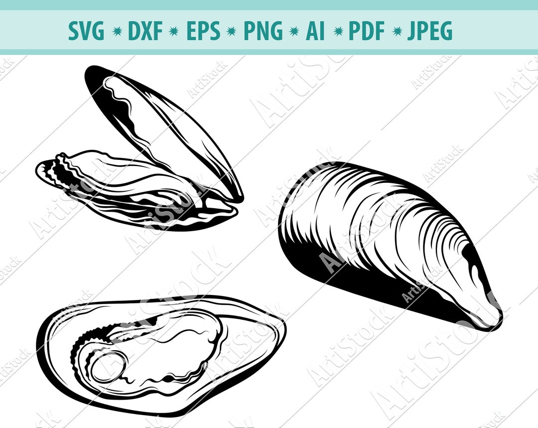 Clams Svg, Clams Clipart Svg, Beach Svg, Shellfish Silhouettes, Sea Svg ...