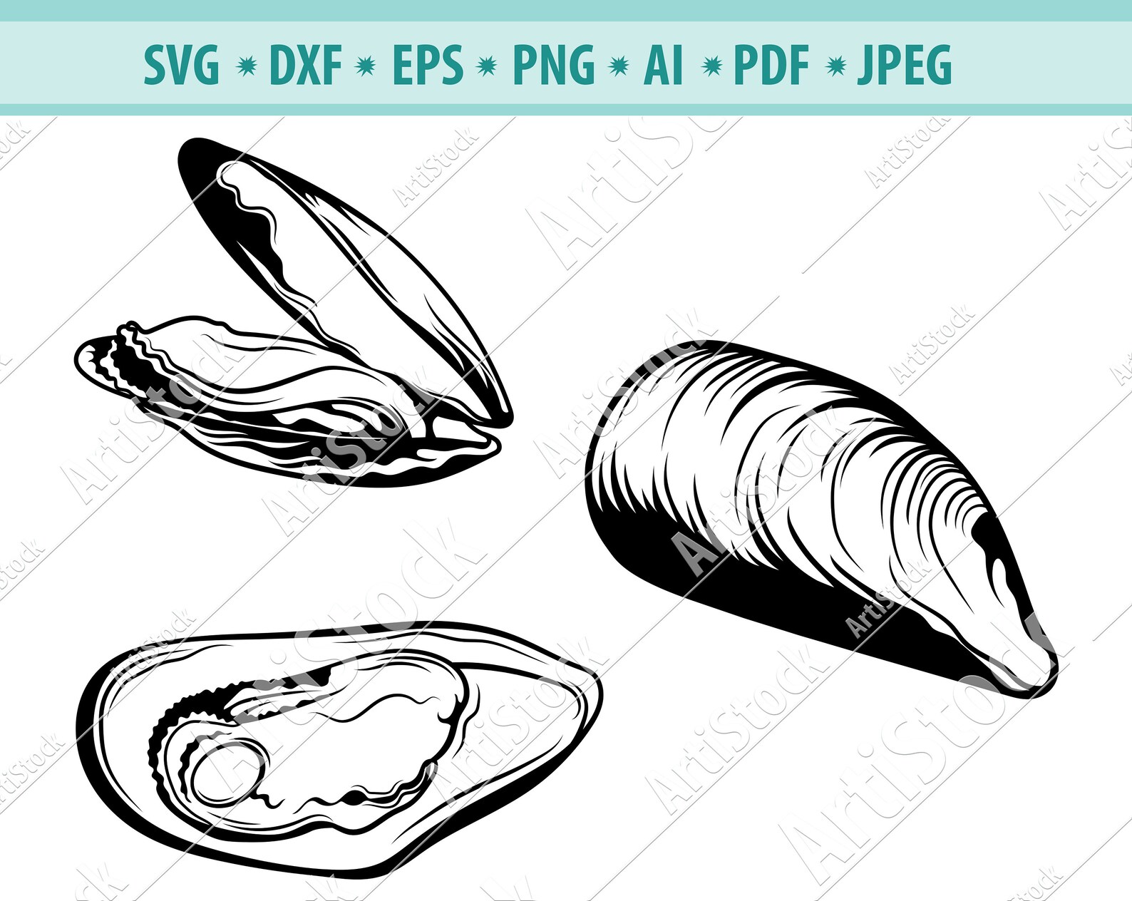 Clams Svg Clams Clipart Svg Beach Svg Shellfish - Etsy