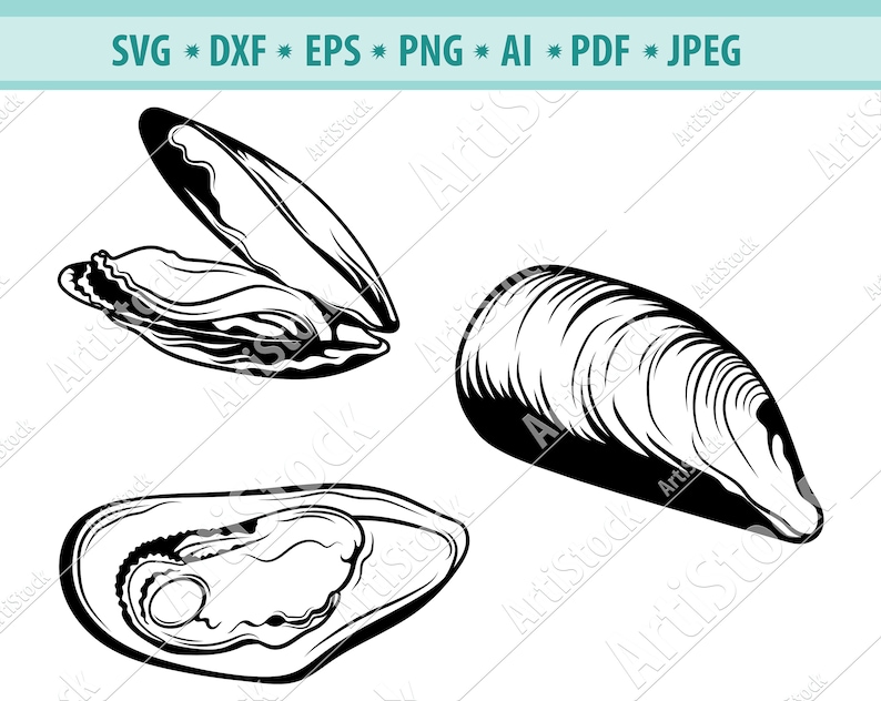 Clams Svg Clams Clipart Svg Beach Svg Shellfish - Etsy