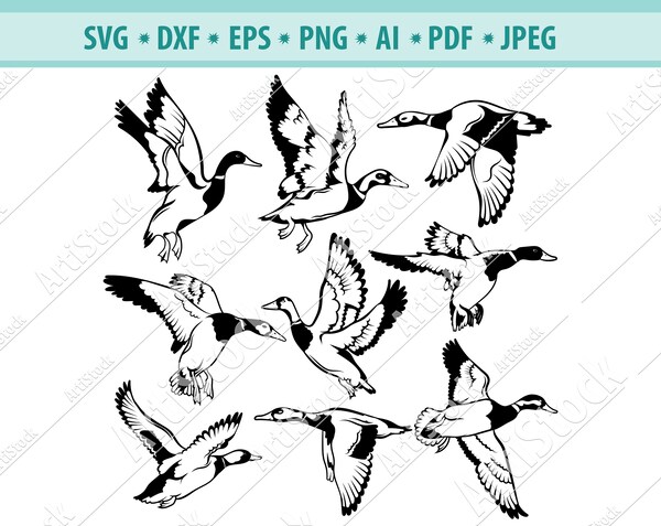 Bird SVG Bundle Birds SVG SVG Files for Cricut Instant - Etsy Canada