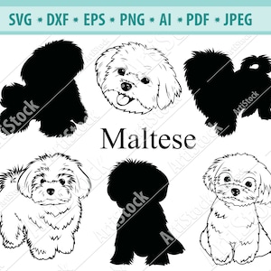 Maltese SVG Maltese Silhouettes Maltese Dog Breeds SVG | Etsy