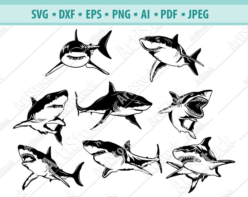 Tiburón SVG, Shark Clipart, Sharks mascota svg, Shark png, Gran tiburón ...