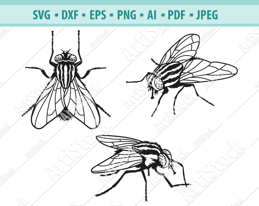 House Fly Svg, Insect Svg, Fly Svg, Fly Clipart, Flying Insect Svg ...