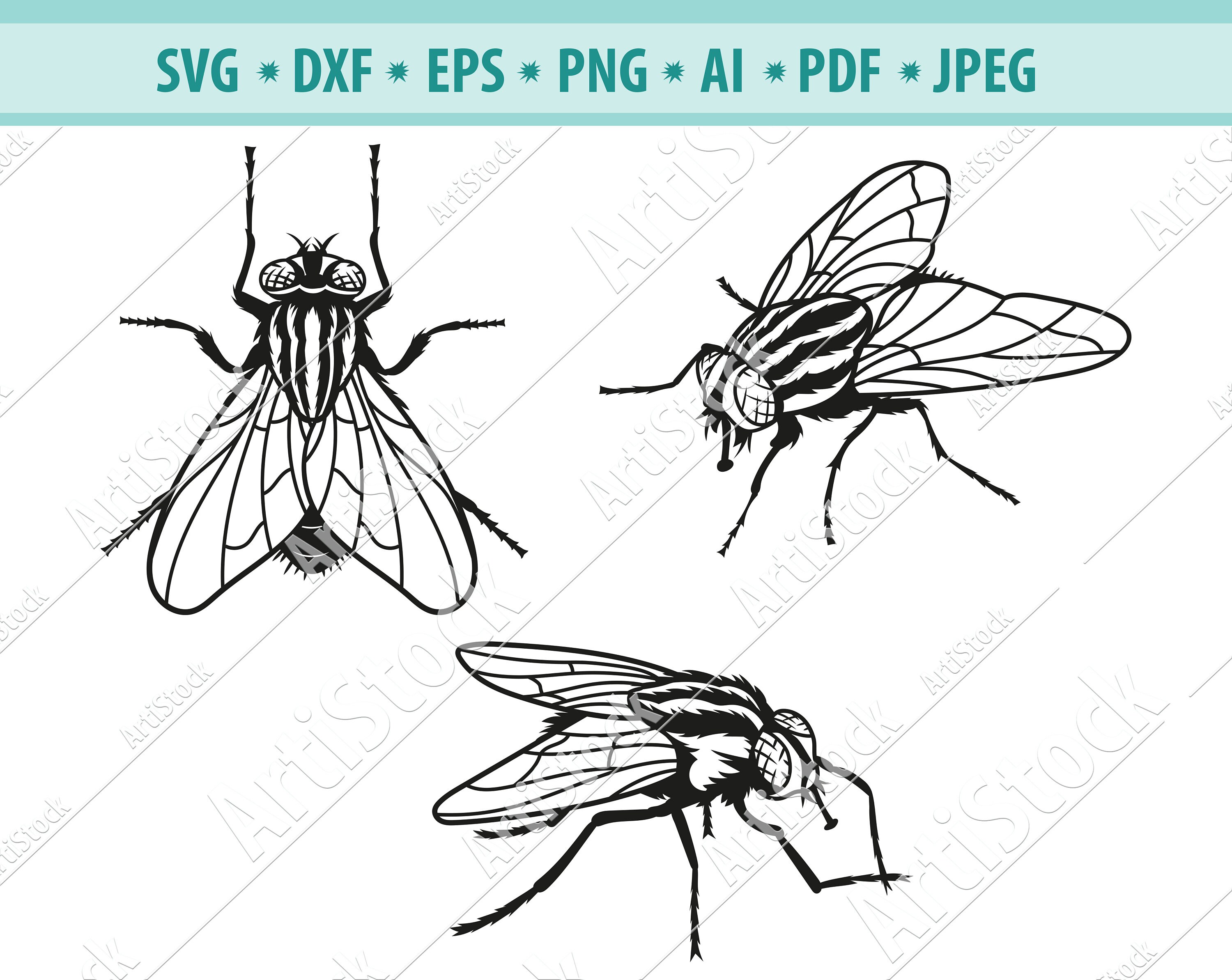 House Fly Svg Insect Svg Fly Svg Fly Clipart Flying Insect - Etsy