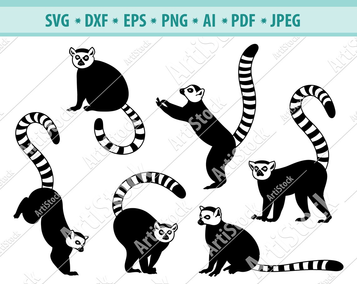 Lemur Svg Madagascar Animal Svg Zoo Svg Lemur Clipart - Etsy
