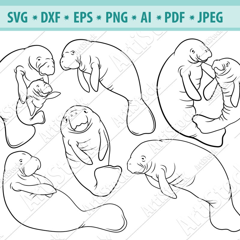Manatee Svg - Etsy