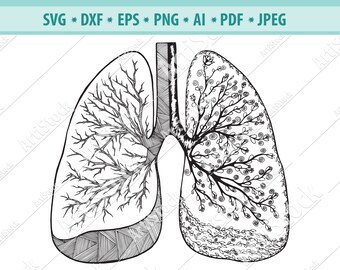 Human Lung Svg Lungs Svg Flowery Human Lung Silhouette - Etsy