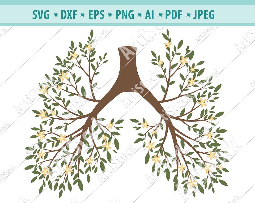 Human Lung Svg, Lungs Svg Flowery, Human Lung Silhouette, Human Lung ...