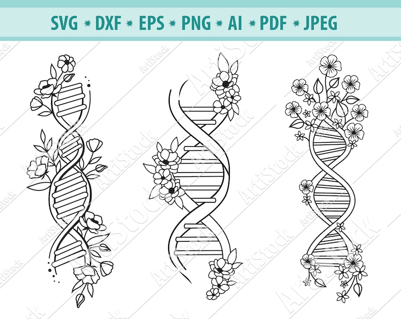 DNA Molecule Svg Flower Dna Svg Double Helix Svg Genetic - Etsy