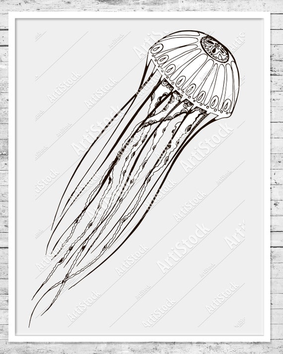 Zentangle Jellyfish