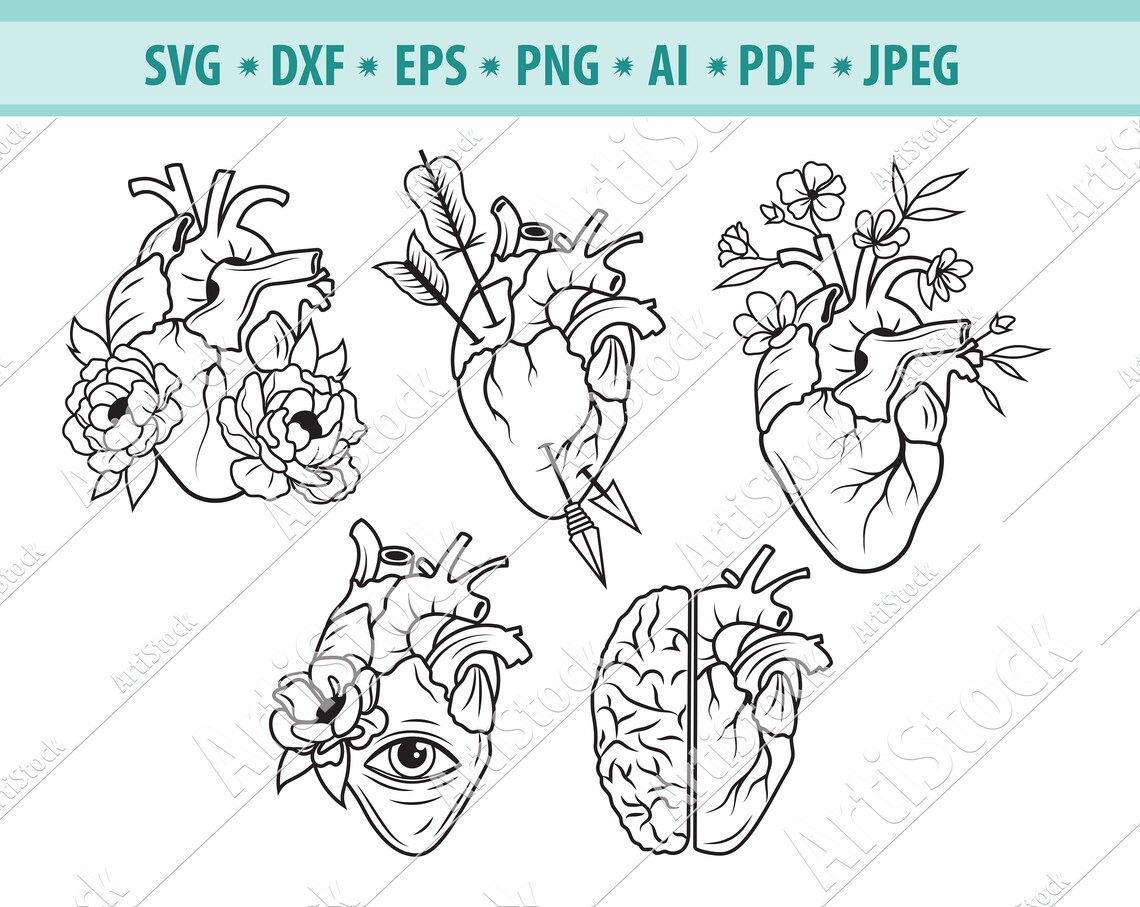 Heart Svg File Anatomical Heart Svg Human Heart Svg | Etsy