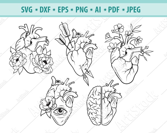Heart Svg File Anatomical Heart Svg Human Heart Svg - Etsy