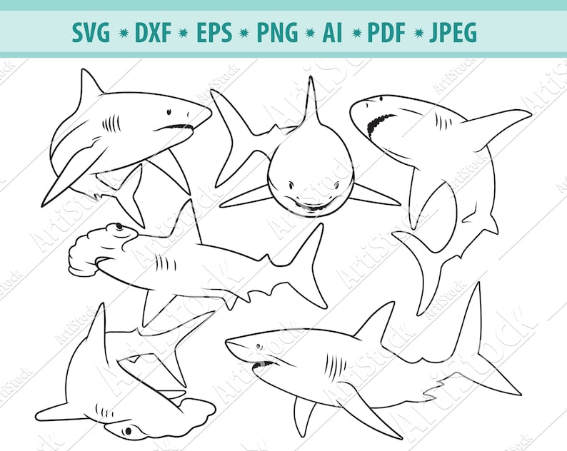 Shark SVG Shark Clipart Sharks Mascot Svg Shark Png Great - Etsy