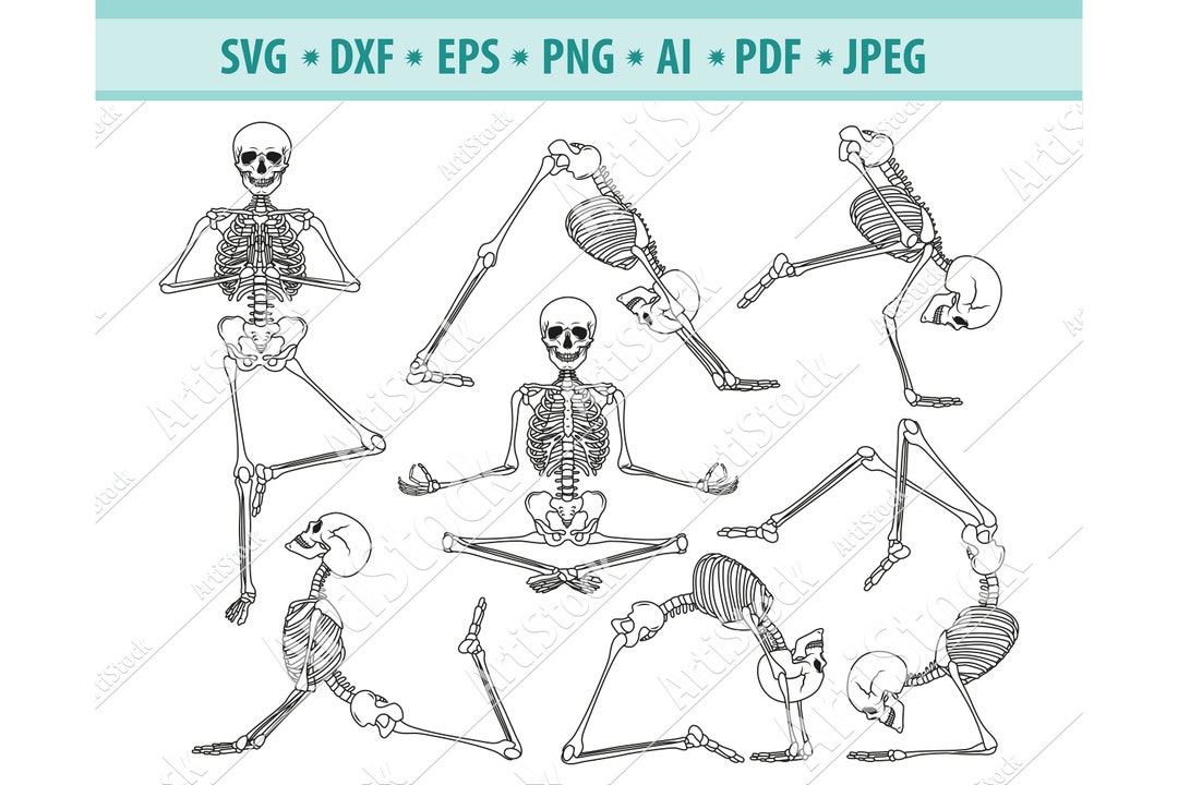 Funny Skeleton Svg, Human Skeletons Svg, Skeleton SVG, Skeleton Bones ...