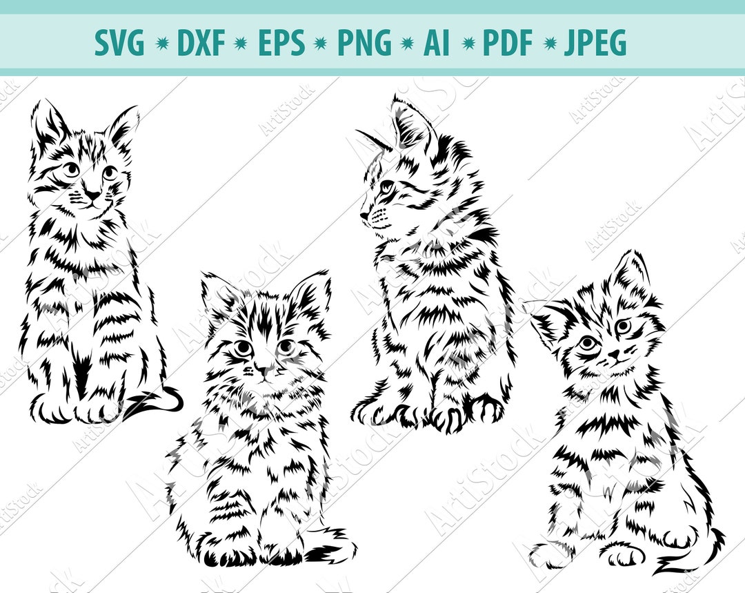 Kitten SVG, Kitty Svg, Cute Animals Svg, Cats Svg, Pets Lover Svg, Svg ...