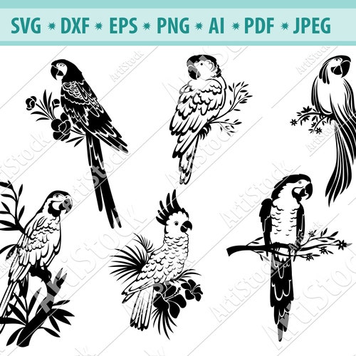 Parrot Svg Parrot Clipart Parrot Files for Cricut Parrot | Etsy