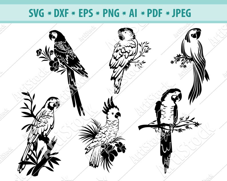 Parrot Svg, Parrot Clipart, Parrot Files for Cricut, Parrot Cut Files ...