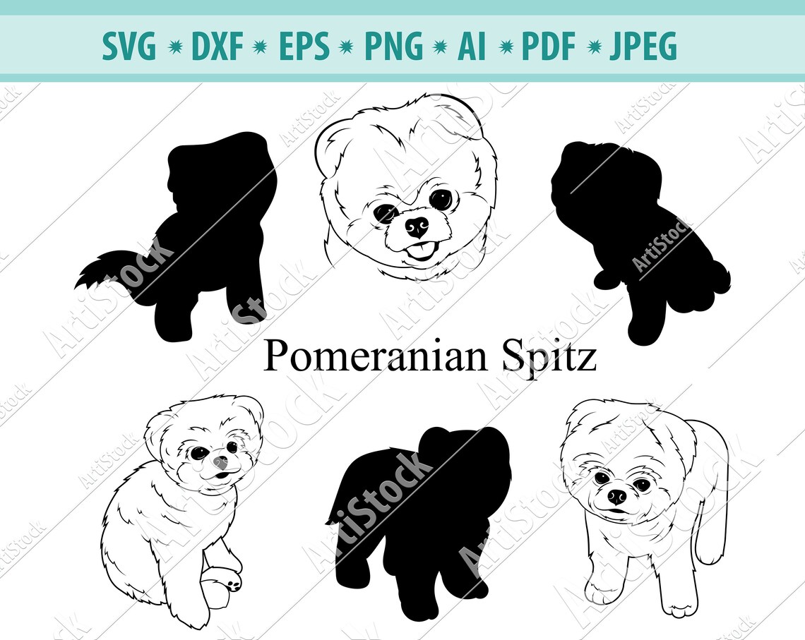 Pomeranian Spitz SVG Spitz Silhouettes Dog SVG Digital - Etsy