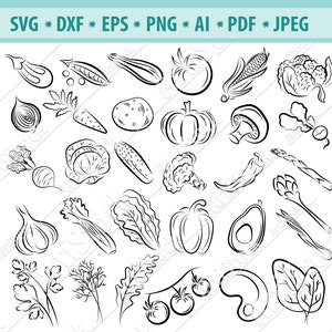 Vegetables SVG Bundle Vegetables SVG Clipart Vegetables Cut - Etsy