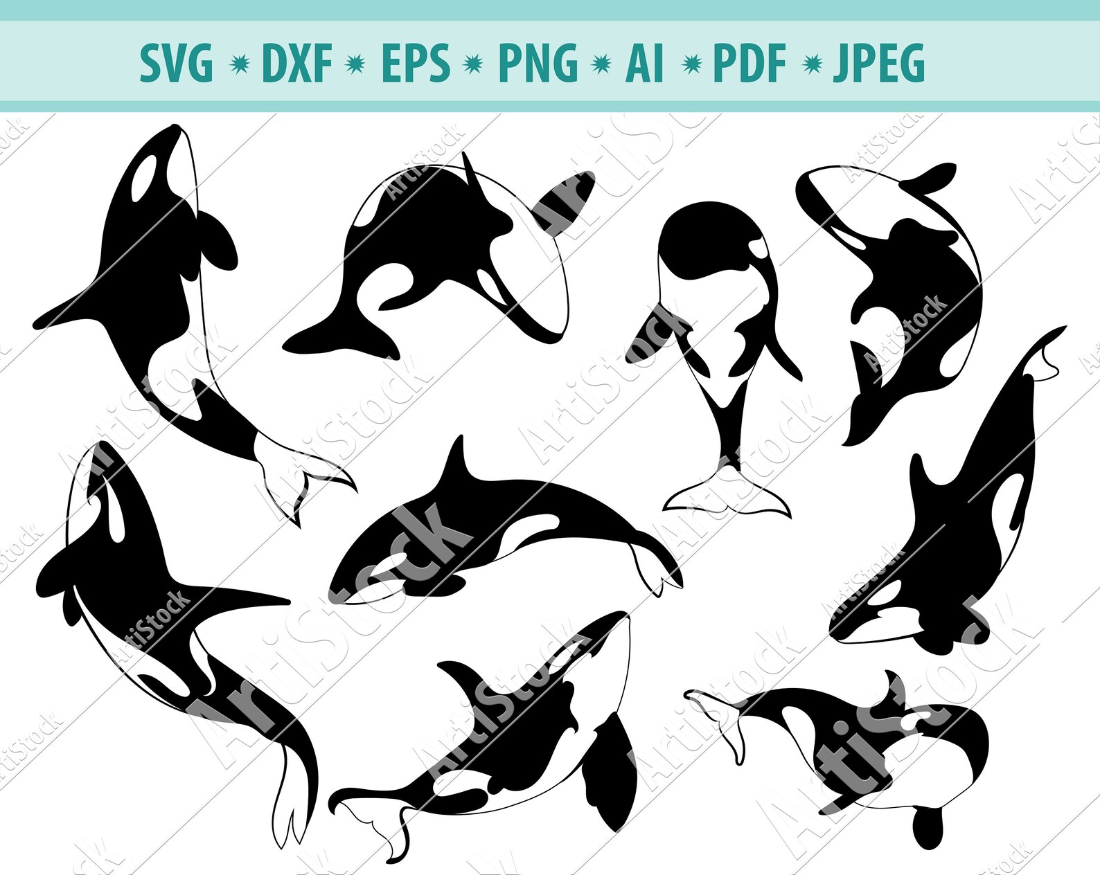 Orca SVG Bundle Killer Whale SVG Killer Whale Clipart Cut - Etsy Canada