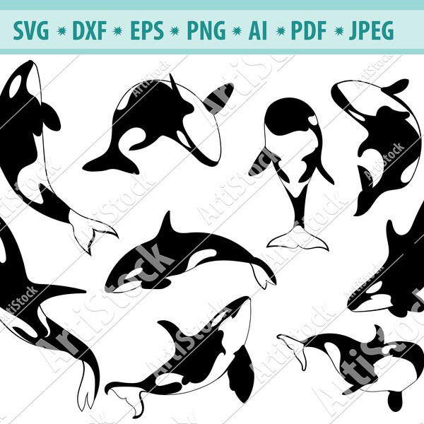 Orca - Etsy