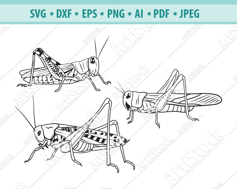 Grasshopper SVG, Bug Svg, Jumping Grasshopper Svg, Grasshopper Clipart ...