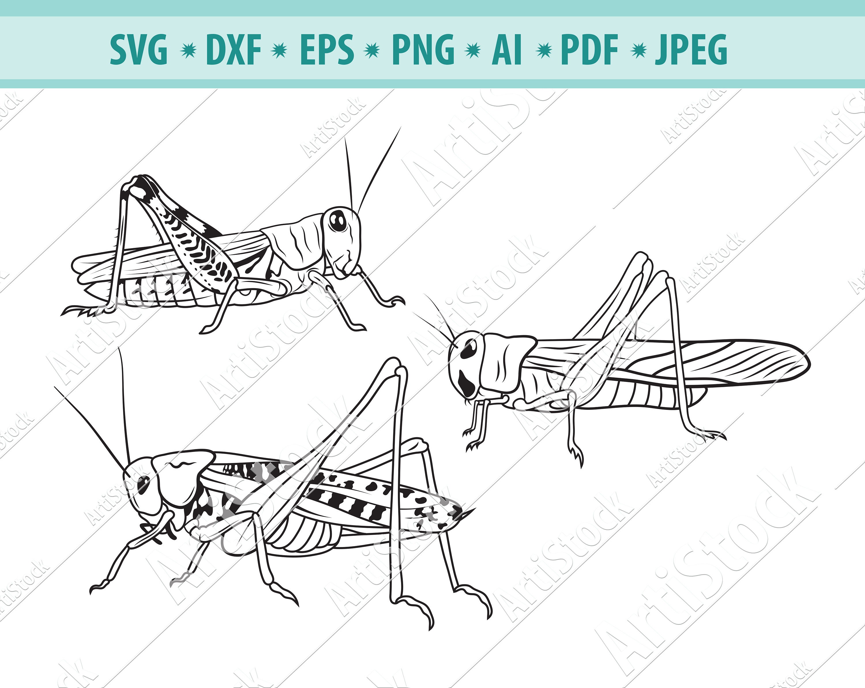 Grasshopper Jumping Drawing