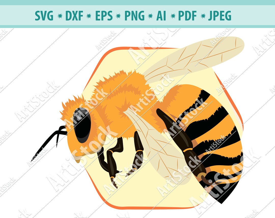 Bee SVG, Queen Bee Svg, Honey Svg, Bee Clipart, Bee Files for Cricut ...