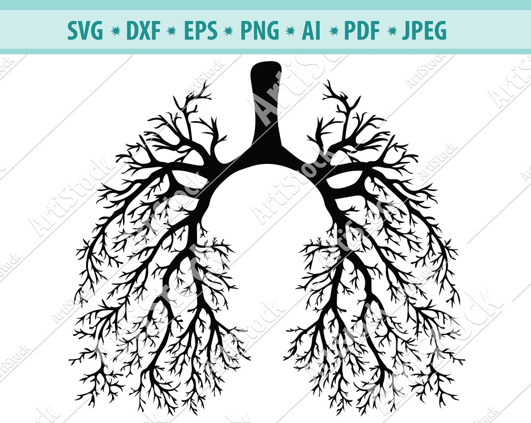 Human Lung Svg, Lungs Svg Flowery, Human Lung Silhouette, Human Lung ...