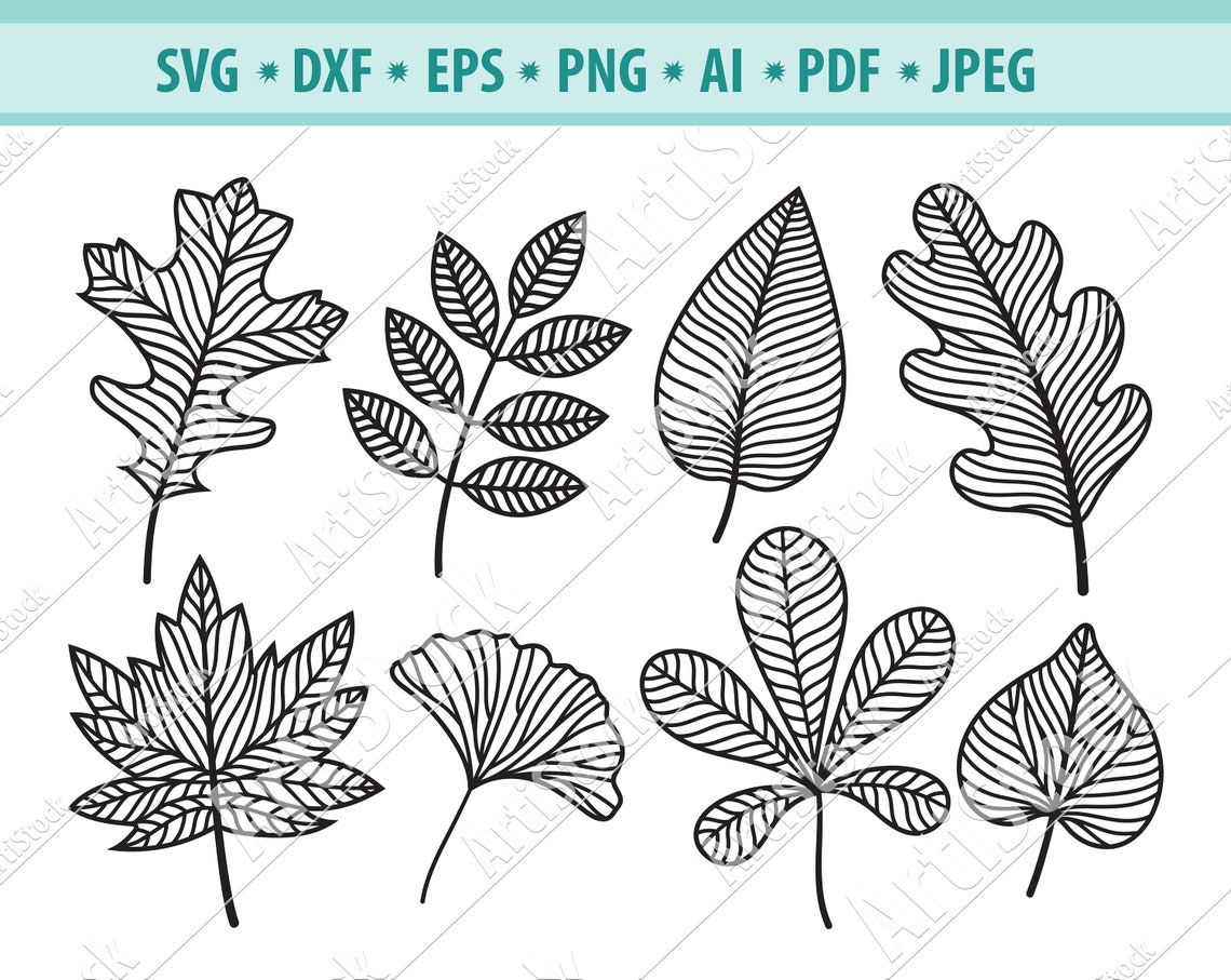 Leaf Svg File Leaves Svg Autumn Svg Fall Leaves Svg Plants - Etsy