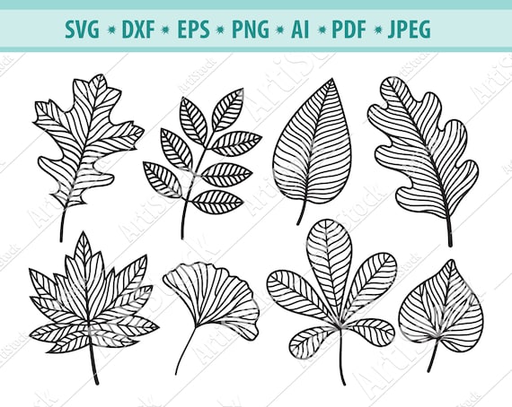Leaf Svg File Leaves Svg Autumn Svg Fall Leaves Svg Plants - Etsy