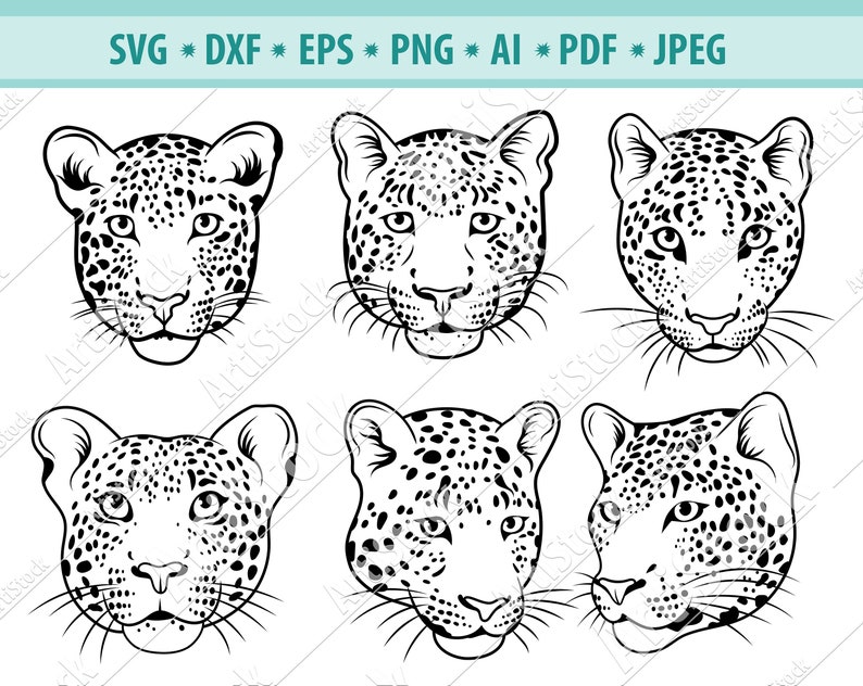 Leopard Face Svg Leopard SVG Leopards Svg Wild Cat Svg | Etsy