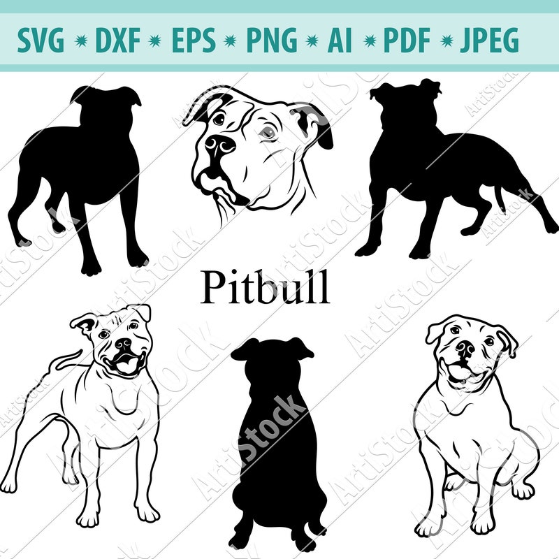 Pitbull Svg - Etsy