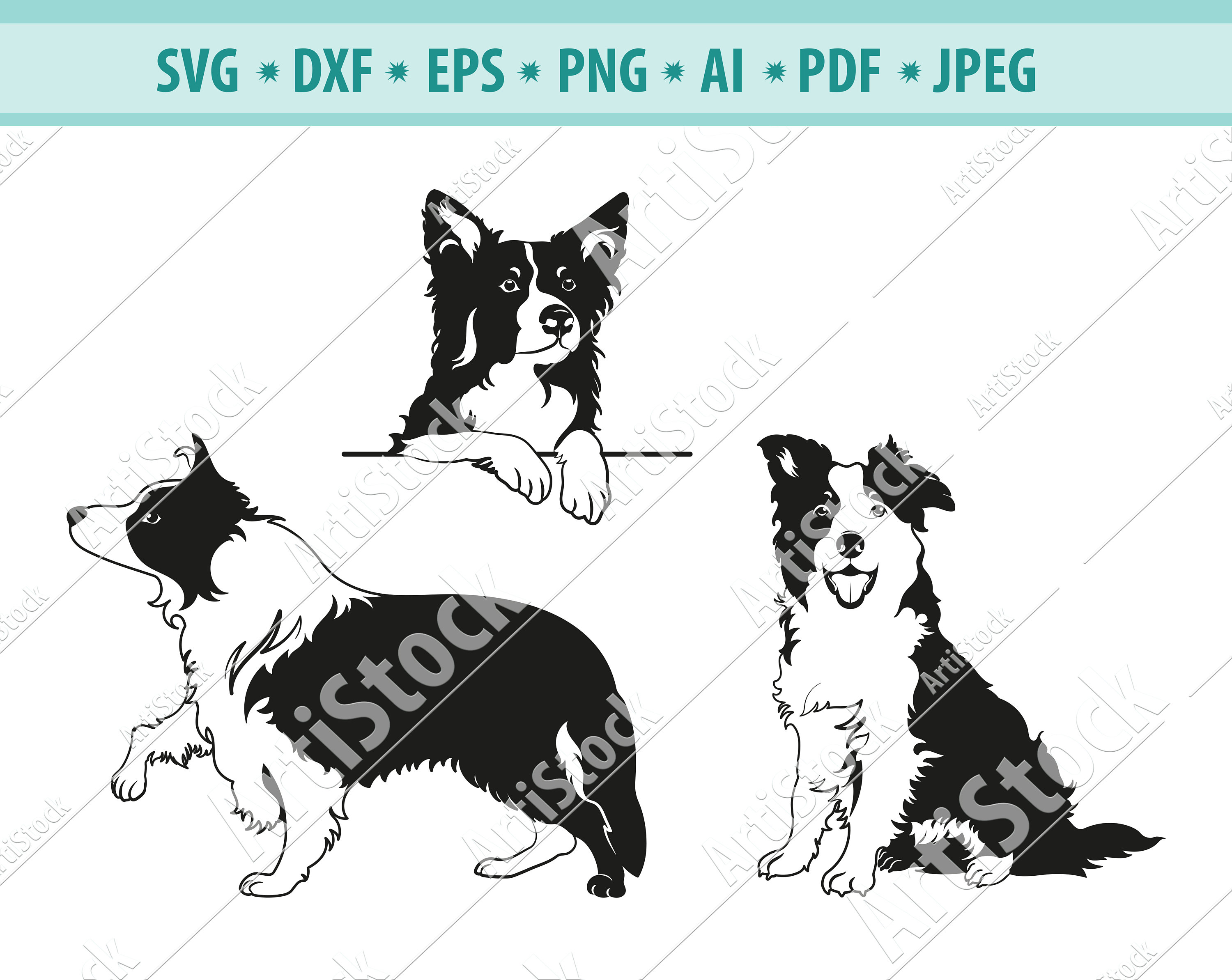 Border Collie Svg, Border Collie Silhouette, Dog Breed SVG, Herding Dog ...